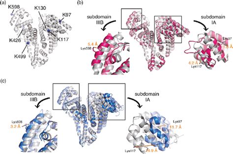 Comparison Of Pdb Structures With Pdb 5z0b Molecule B A Crystal