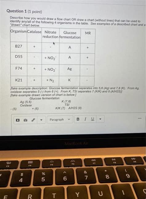 Solved Question Describe How You Would Draw A Flow Chart Or Chegg Com