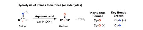 Hydrolysis Of Imines To Give Ketones Or Aldehydes Master Organic Chemistry