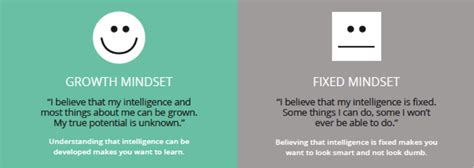 Growth And Fixed Mindset Definition World Leading Mindset