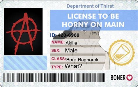 Look Boiiiiiiiis Got A Horny License Lets Goooooooo R Hornyjail