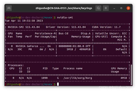 Docker内部执行nvidia Smi无任何显示的解决方法docker Nvidia Smi 看不到进程 Csdn博客