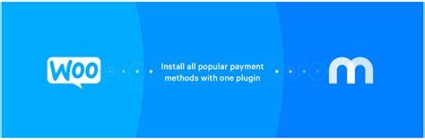 10 Best Woocommerce Payment Gateway Plugins Wpcrafter