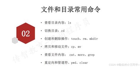 （linux和数据库）1linux操作系统和常用命令 Csdn博客