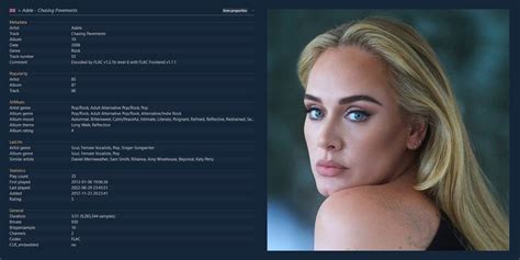 Github Wil Bbiography Feature Rich Biography Plug In For Foobar2000