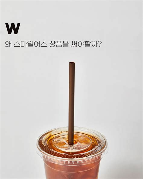 Pla 생분해 옥수수 빨대 21cm 100개 그린 개별포장