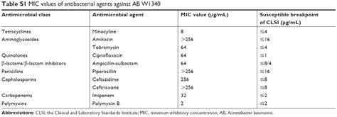 Synergistic Antibacterial Effect Of Ultrasound Microbubbles Combined W Ijn