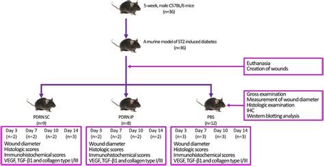 Experimental Schema Download Scientific Diagram