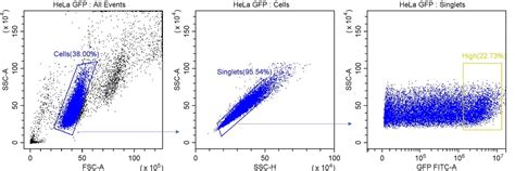Single Cell Sorting With Cytoflex Srt Cell Sorter