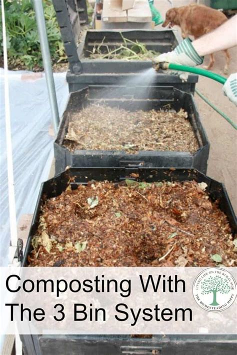How To Compost With The 3 Bin Compost System