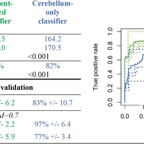 Cerebellar Segmentation Pipeline Download Scientific Diagram