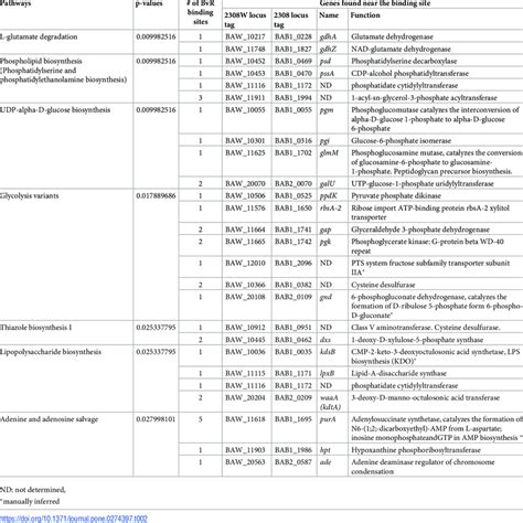 Manually Curated Biocyc Enrichment Analysis Of Metabolic Pathways Found Download Scientific