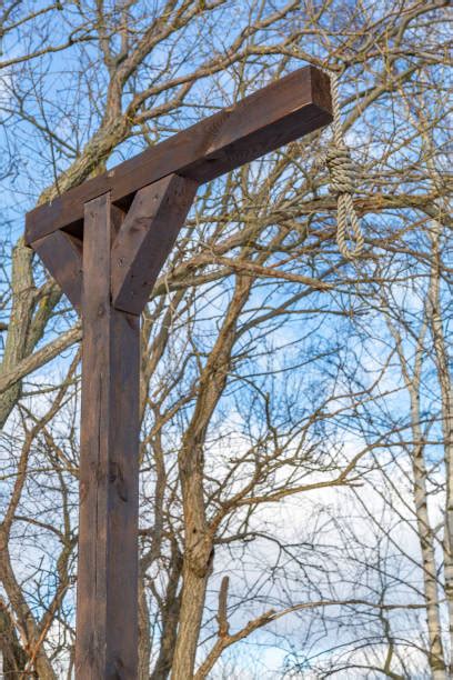 110 Gallows Hangmans Noose Execution Equipment Capital Punishment