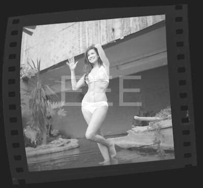 Phyllis Davis Bikini Movie Actress Model By Harry Langdon Negative W