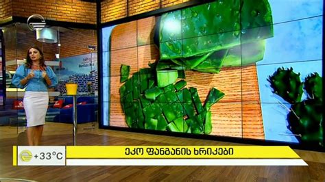 კაქტუსი სილამაზის სამსახურში ეკო ფანგანის ხრიკები Youtube