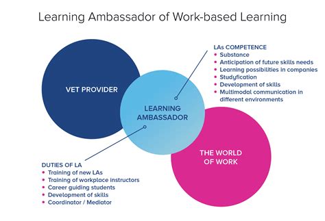 From Vocational Teacher To Learning Ambassador Hamk