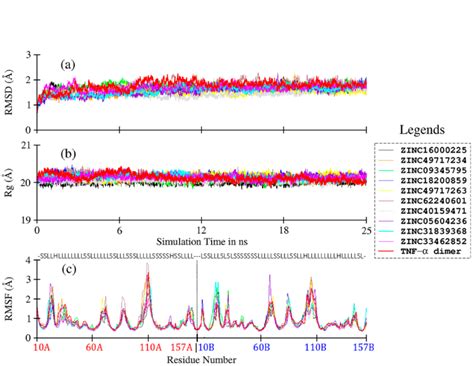 Comparative Plots Of Root Mean Square Deviation A Radius Of Gyration