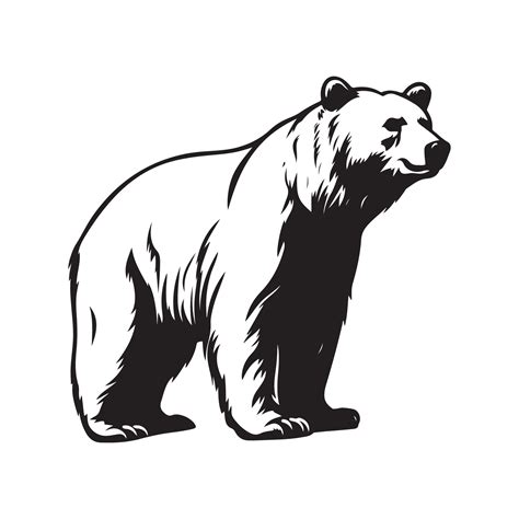 Bear Vector Image Art Design 33242435 Vector Art At Vecteezy