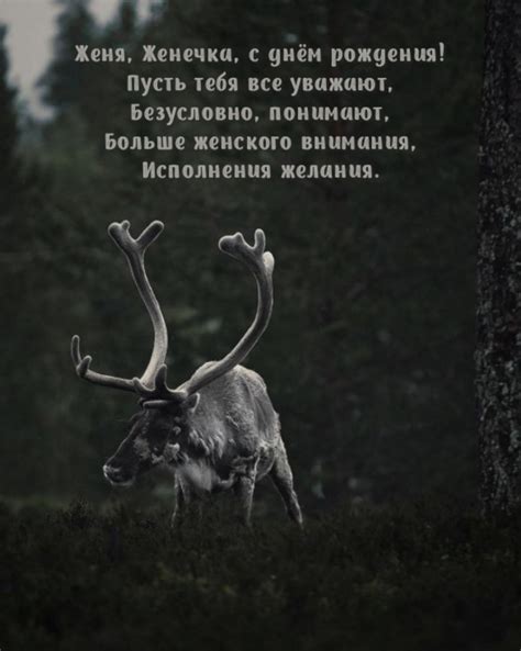 Женя Женечка с днём рождения Пусть тебя все уважают