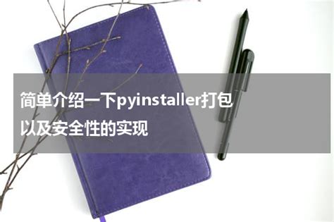 简单介绍一下pyinstaller打包以及安全性的实现