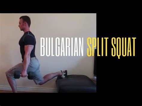 Bulgarian Split Squat Youtube