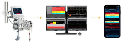 Patient Monitoring • Vital Sign Monitor • Vitals Plus • Capsule