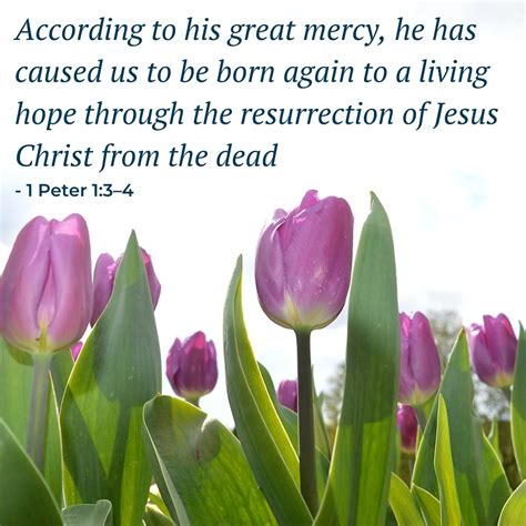 Scripturesaturday Lcmsfoundation Lcms Epistle Sundayreadings The Lcms Foundation