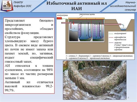 Осадки сточных вод - презентация онлайн