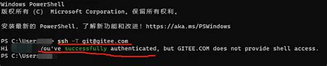 windows系统git使用ssh方式和gitee github进行同步 NET快速开发框架 博客园