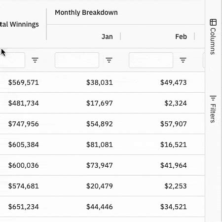 Angular Data Grid Column Filters