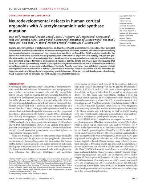 Pdf Neurodevelopmental Defects In Human Cortical Organoids With N