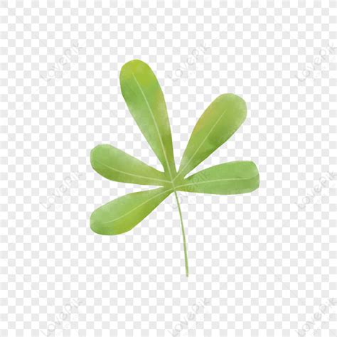크리 에이 티브 잎 요소 그림 일러스트 손으로 그린 나뭇잎녹색 식물식물 Png 일러스트 무료 다운로드 Lovepik