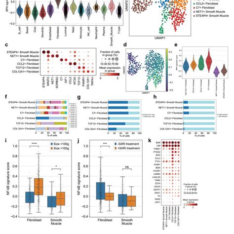 single cell profiling of stromal cell compartment in bph patients a
