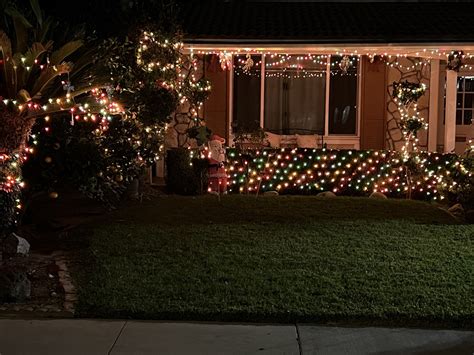 손주차로 아내 재활치료병원 And 크리스마스 트리