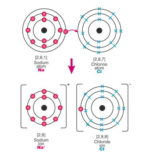 Selina Solutions Class Concise Chemistry Chapter Atomic Structure And Chemical Bonding