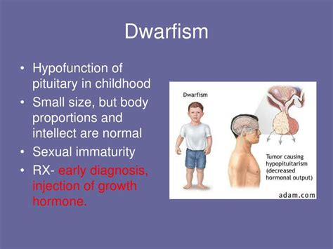 Ppt Endocrine Disorders Powerpoint Presentation Free Download Id