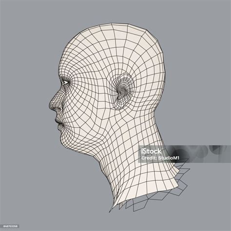 3 차원 격자에서 사람의 머리입니다 인간의 머리 모델을 연결합니다 인간의 다각형 머리입니다 얼굴 검색입니다 인간의 머리의