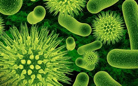 Biology 4k Wallpapers Top Free Biology 4k Backgrounds Wallpaperaccess