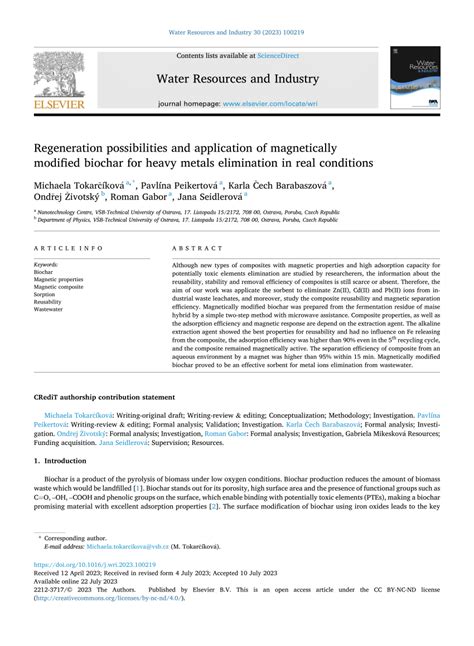 Pdf Regeneration Possibilities And Application Of Magnetically Modified Biochar For Heavy