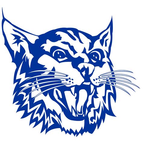 Basketball Game Preview Upton Bobcats Vs Hot Springs Bison