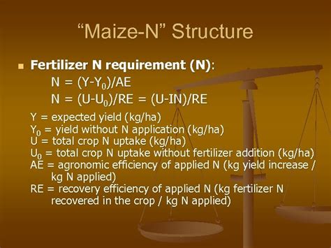 The Maize N Model Toward A Global Approach To