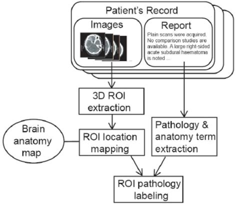 Segmentation And 3d Reconstruction Examples Download Scientific Diagram