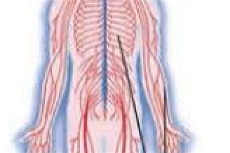 عصب چیست؟ تستچی