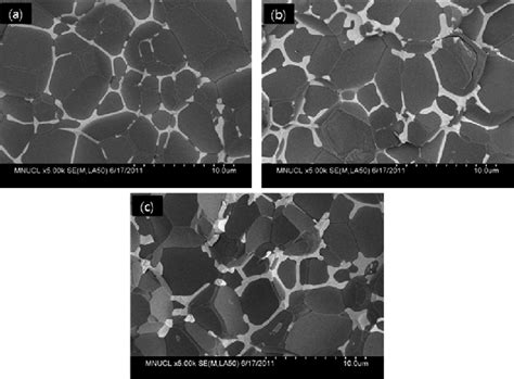 Sem Micrographs Of Aln Ceramics Sintered At 1900 O C Download