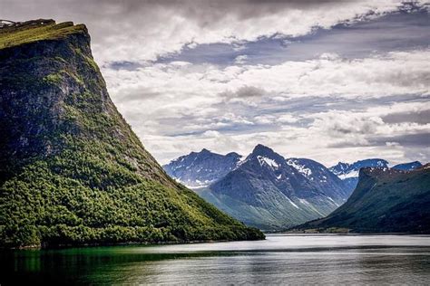 표고버섯 마늘 간장 푸른곰팡이