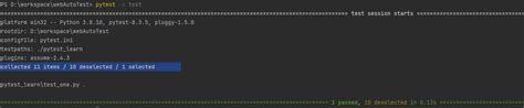 pytest 基础用法 pytest assume csdn博客