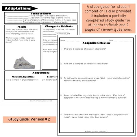 Adaptation Worksheet Research Activity Teacher Made Worksheets Library