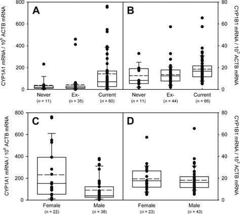 Sex Differences In Risk Of Lung Cancer Expression Of Genes In The Pah Bioactivation Pathway In