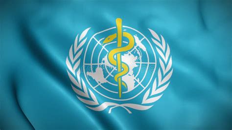 World Health Organization Flag Stock Video Video Of Loop Round