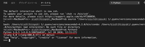 Vscodeのターミナルをpythonの対話モードで使用する方法｜windows版 Mac版それぞれ解説 Liquidjumper